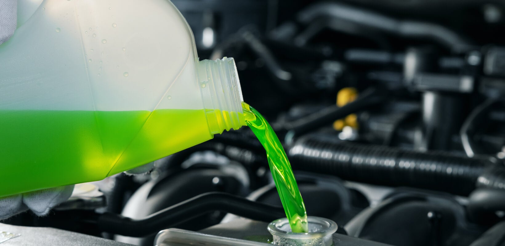 Kia Maintenance Schedule Coupons